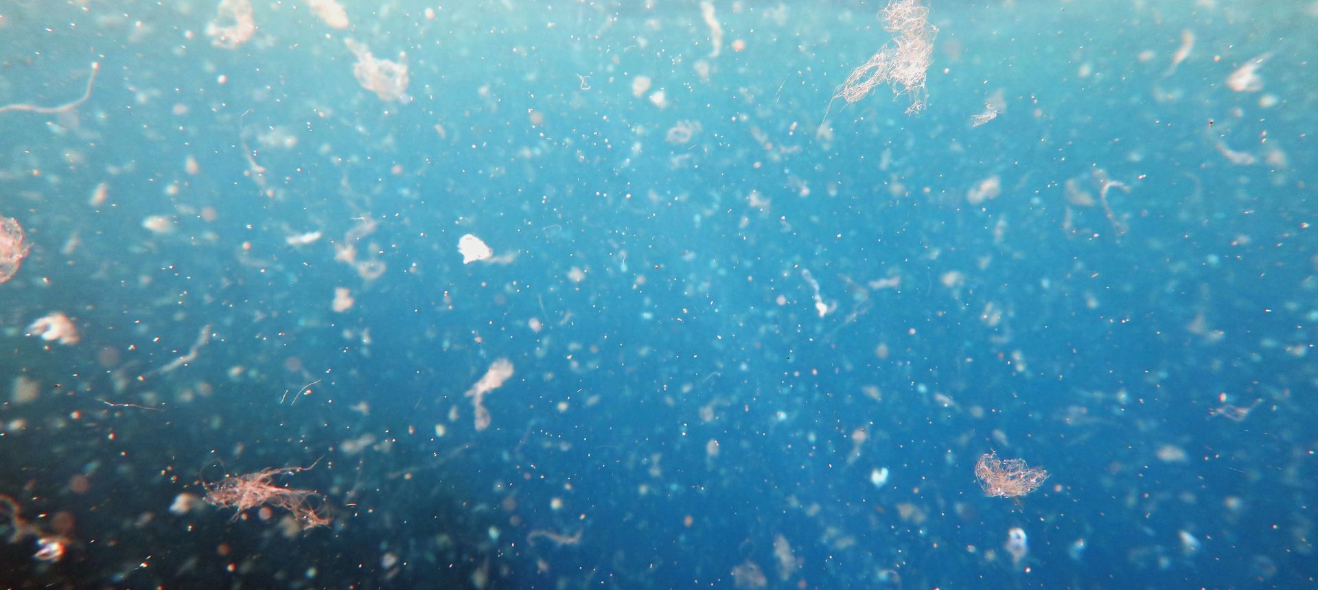 PlanetCare | The Most Effective Solution To Stop Microfiber Pollution
